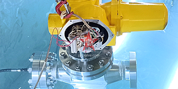 中核科技—DN250氦气隔离阀鉴定试验圆满成功 - prcvalve.com